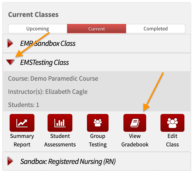 (Instructor) Creating Segments in the Grade Book – Platinum Education ...